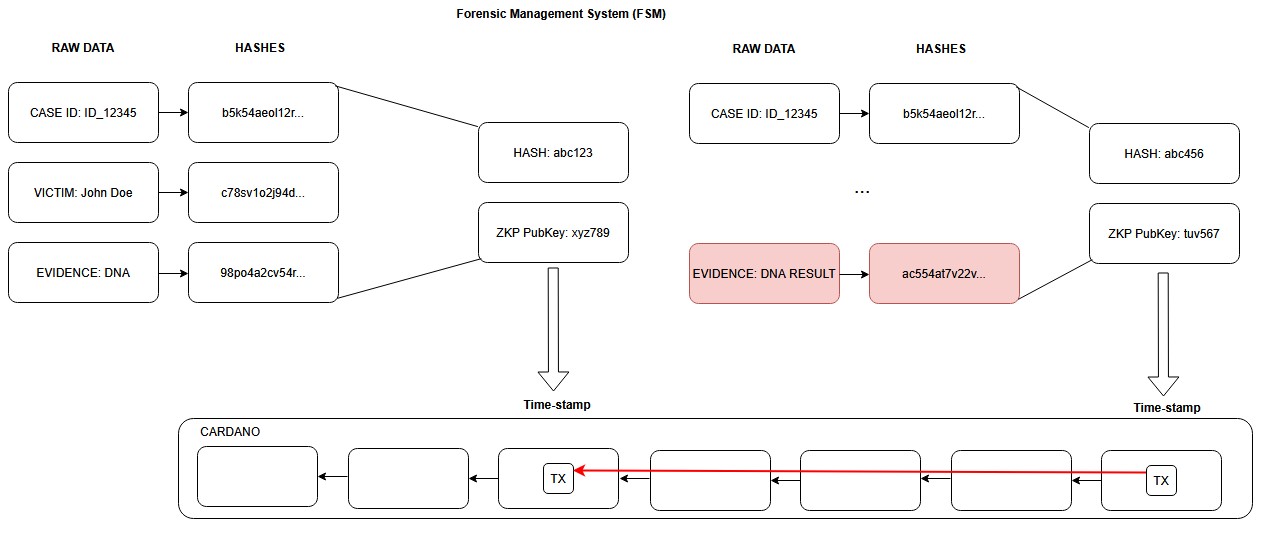 Understanding The Forensic Management System